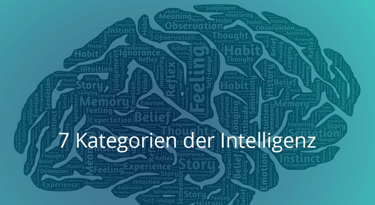 Intelligenz - Die 7 Kategorien der Intelligenz